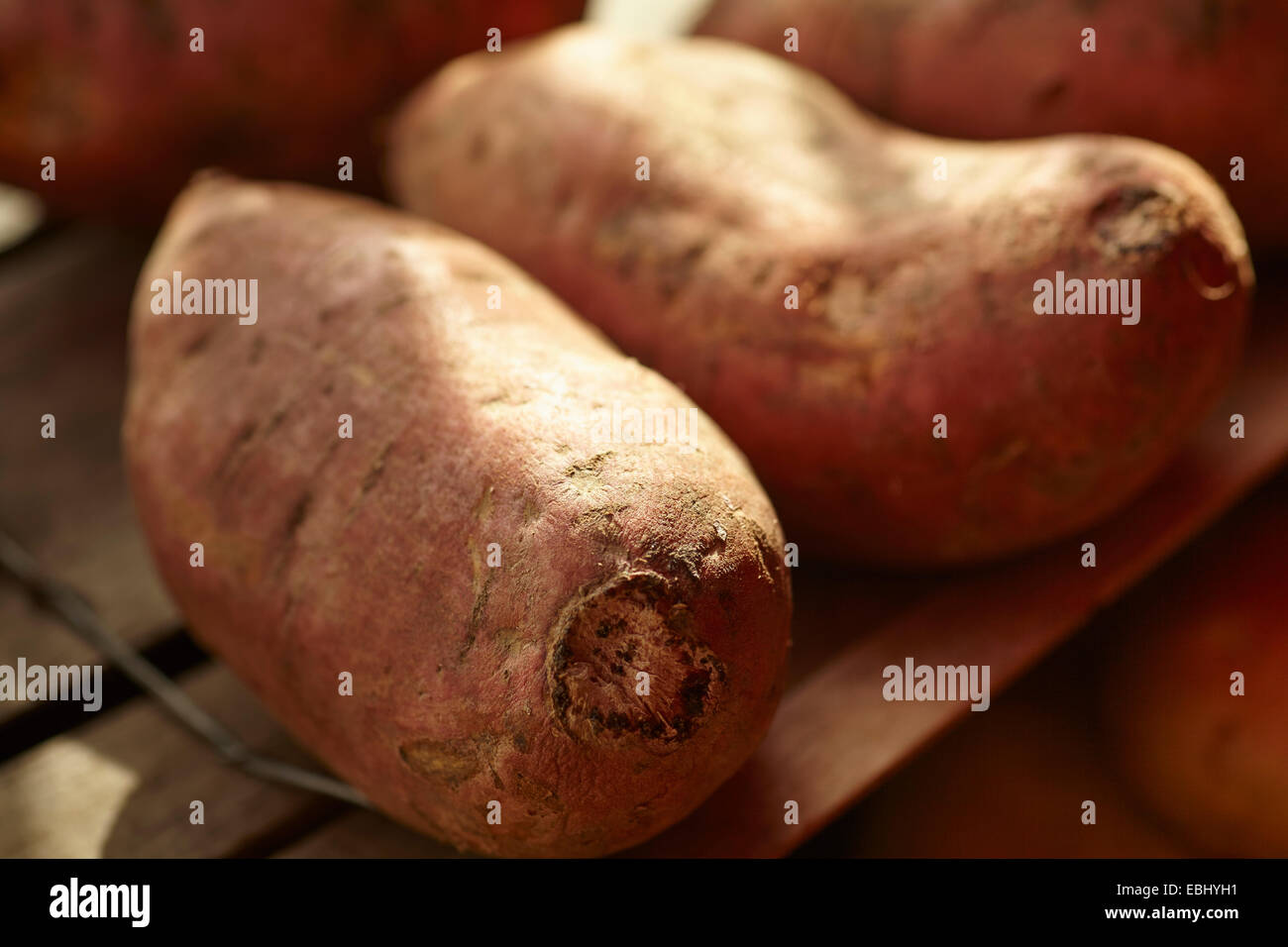 Sweet potatoes on display at a New Jersey farm stand Stock Photo - Alamy