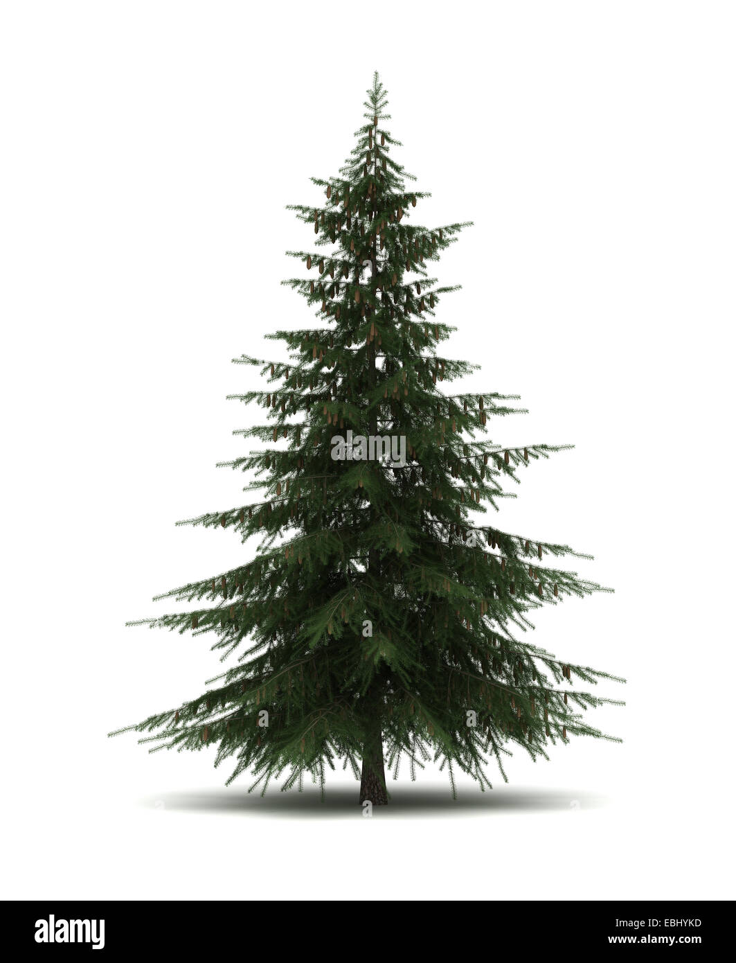 Single landscape element hi-res stock photography and images - Alamy