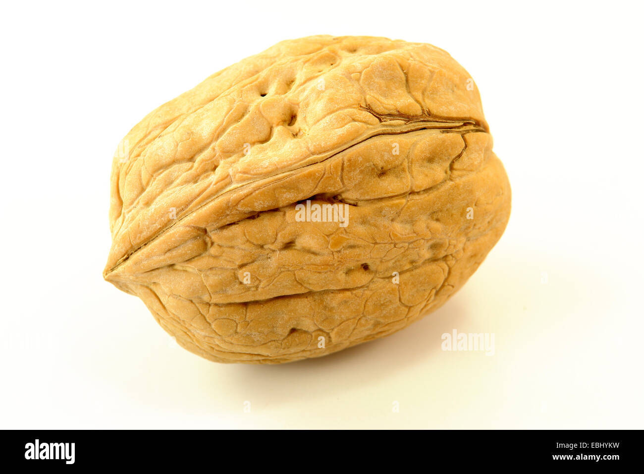 Single nut hi-res stock photography and images - Alamy