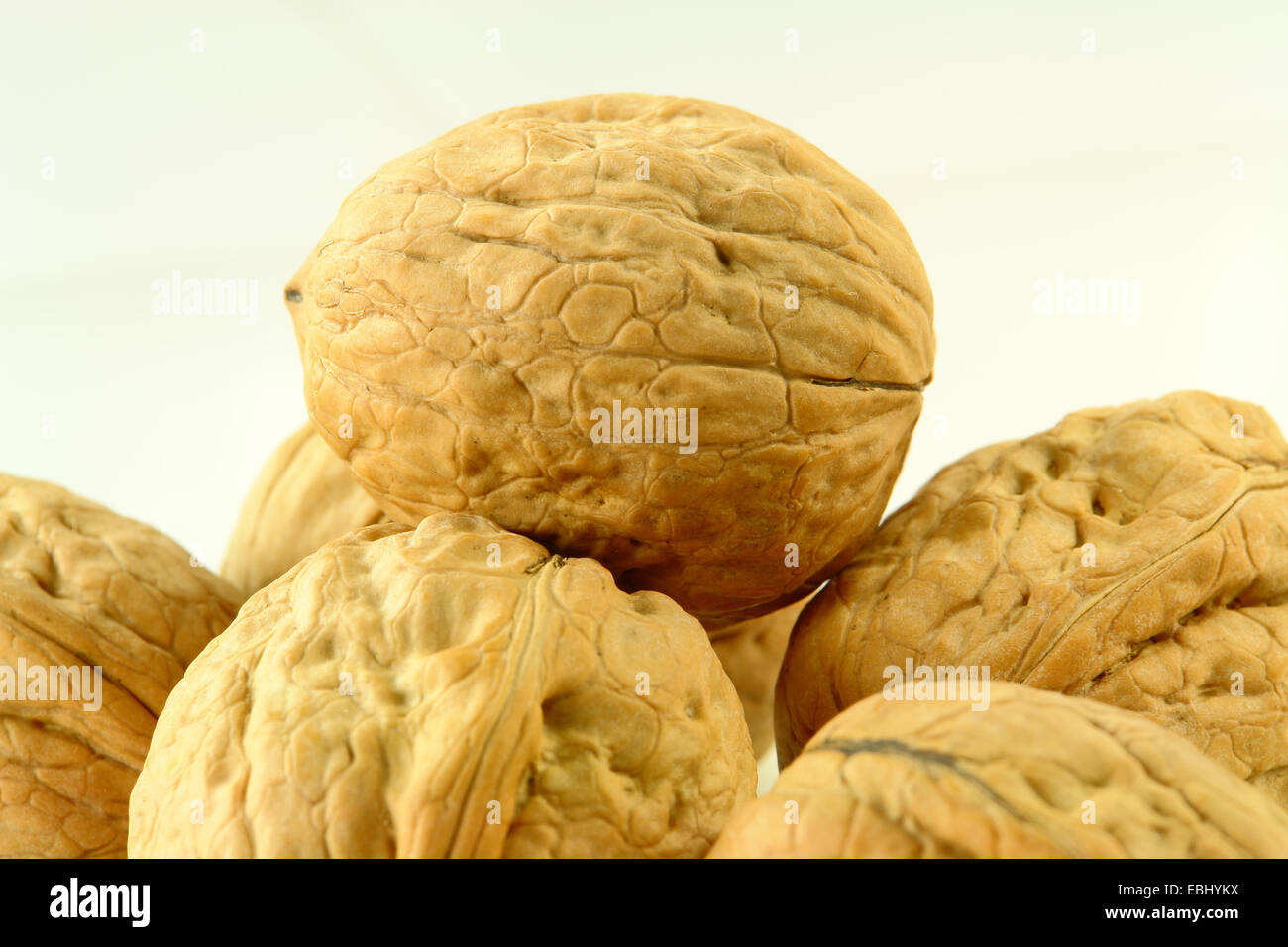 Walnut shell texture hi-res stock photography and images - Alamy