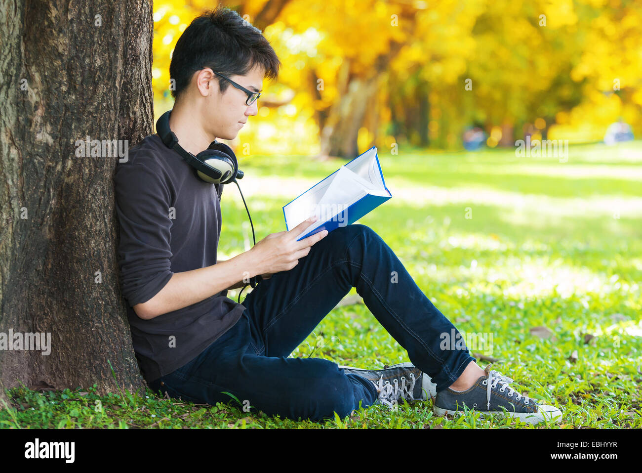 Person Reading A Book Under A Tree