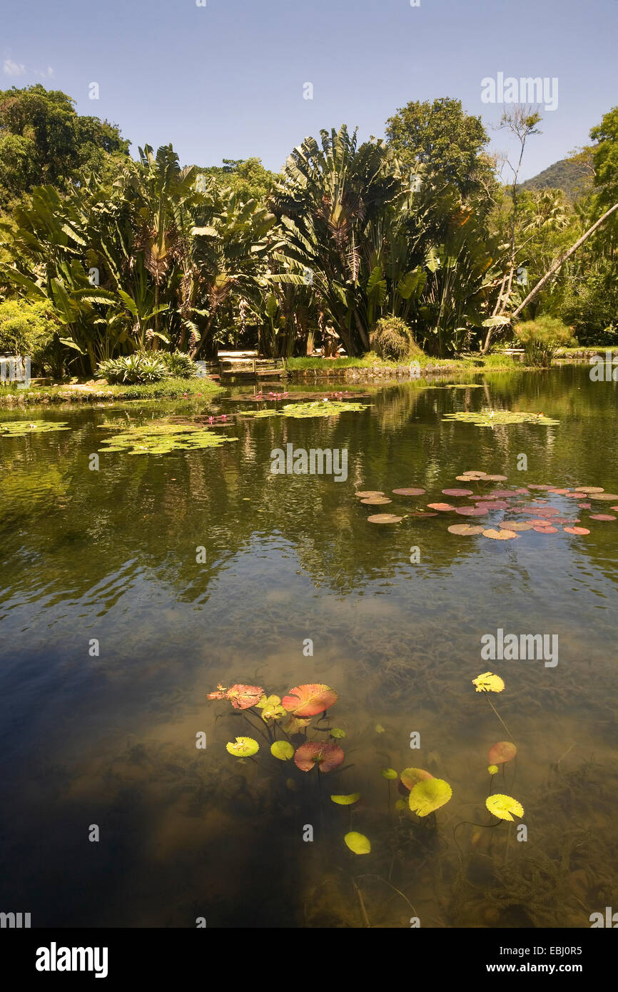 Rio de janeiro botanical garden in brazil hi-res stock photography and ...