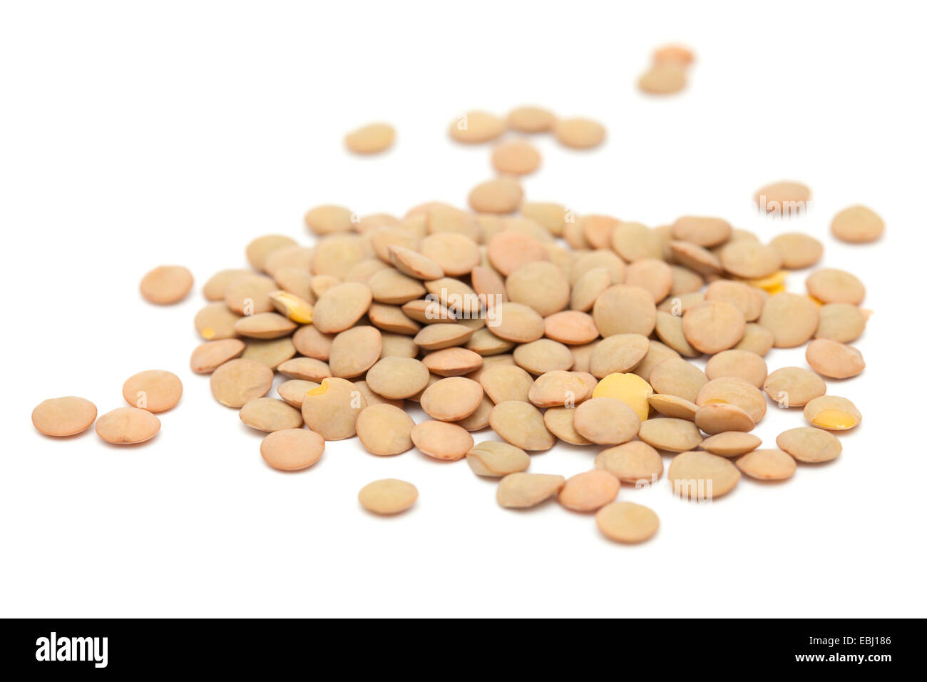 lentils isolated on white background Stock Photo - Alamy