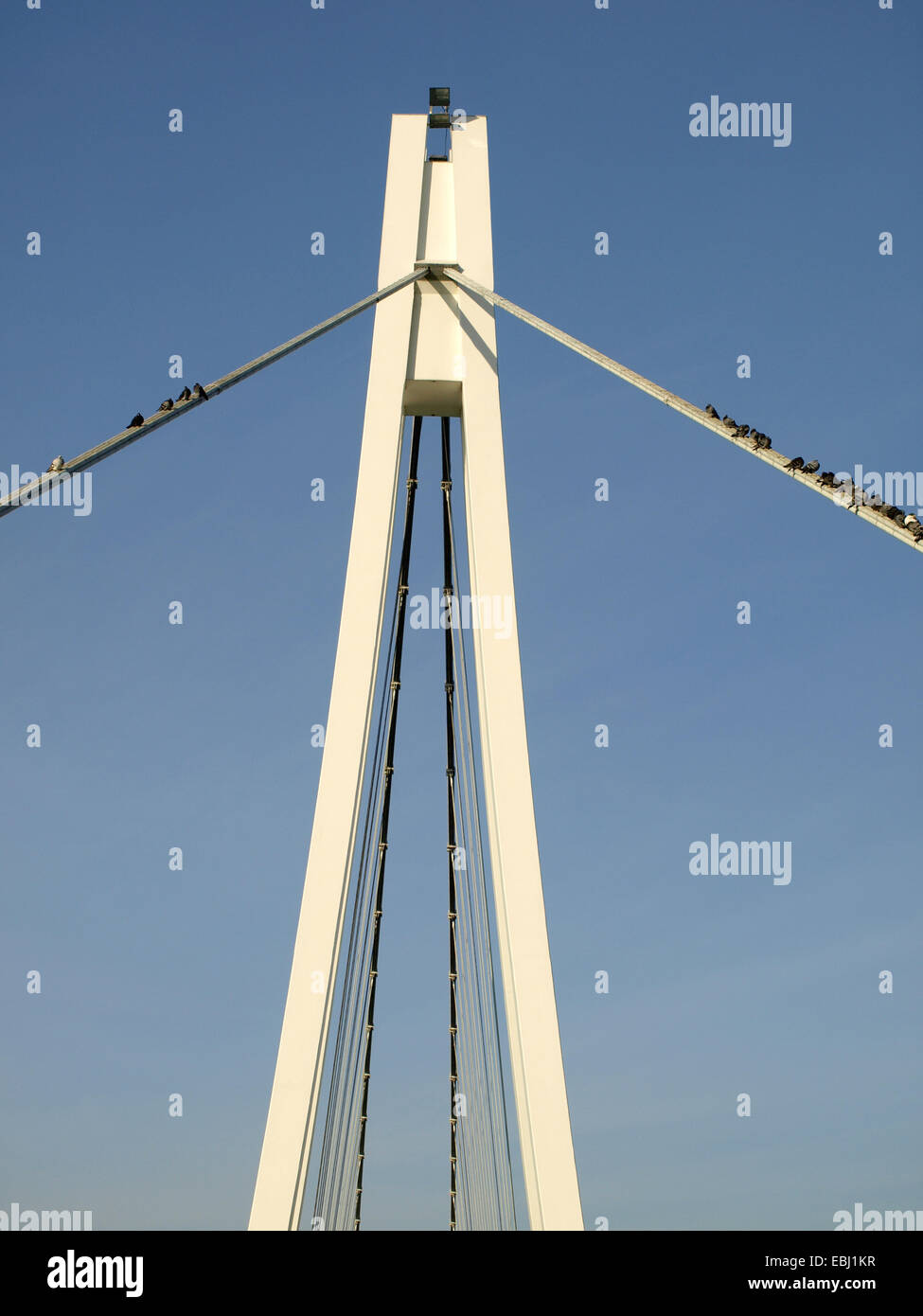 Suspension bridge with cables reaching to the deck Stock Photo - Alamy