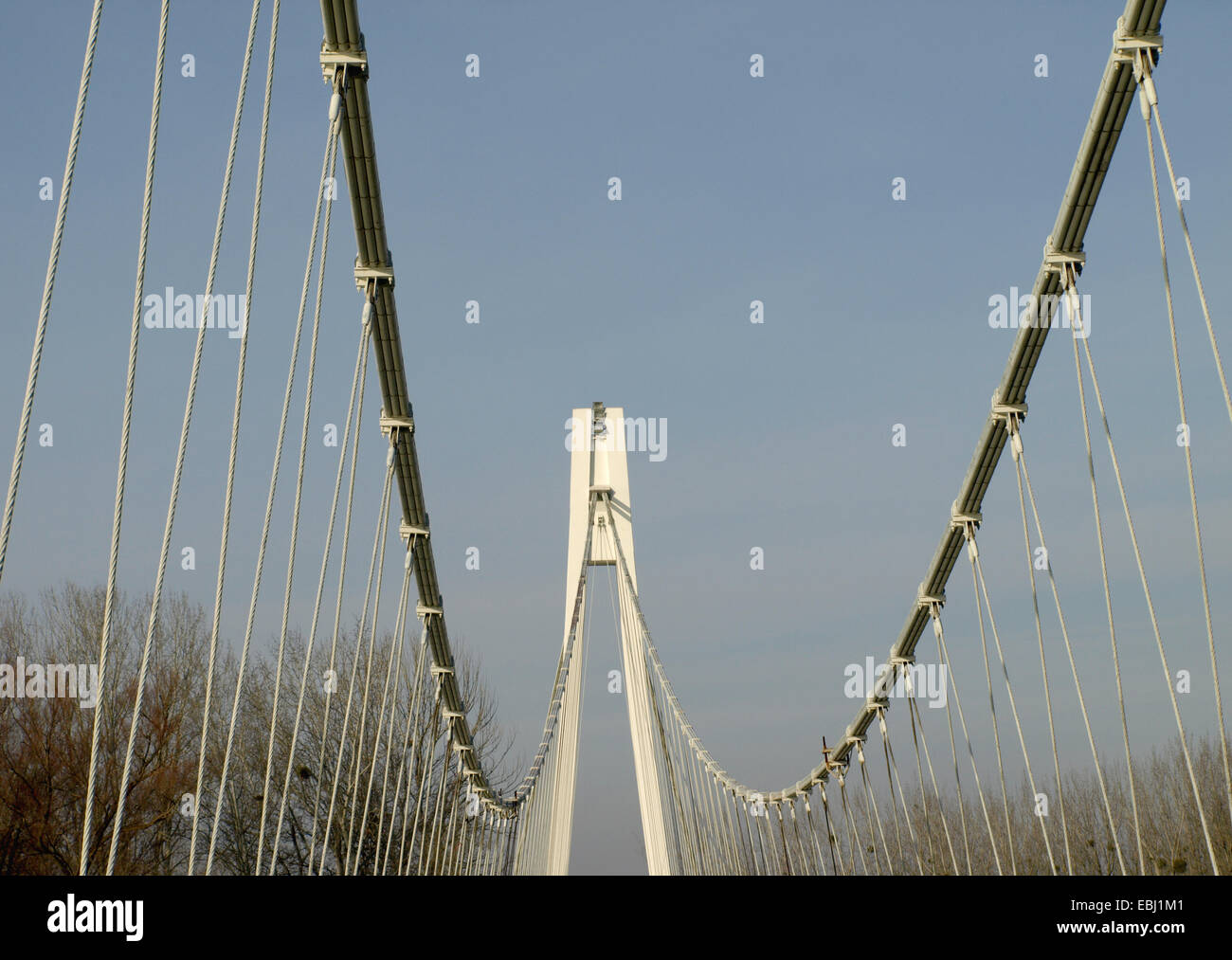 Suspension bridge with cables reaching to the deck Stock Photo - Alamy