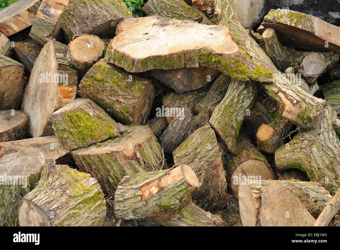 A Stack of Logs on a Farm in Warwickshire, England, UK Stock Photo - Alamy