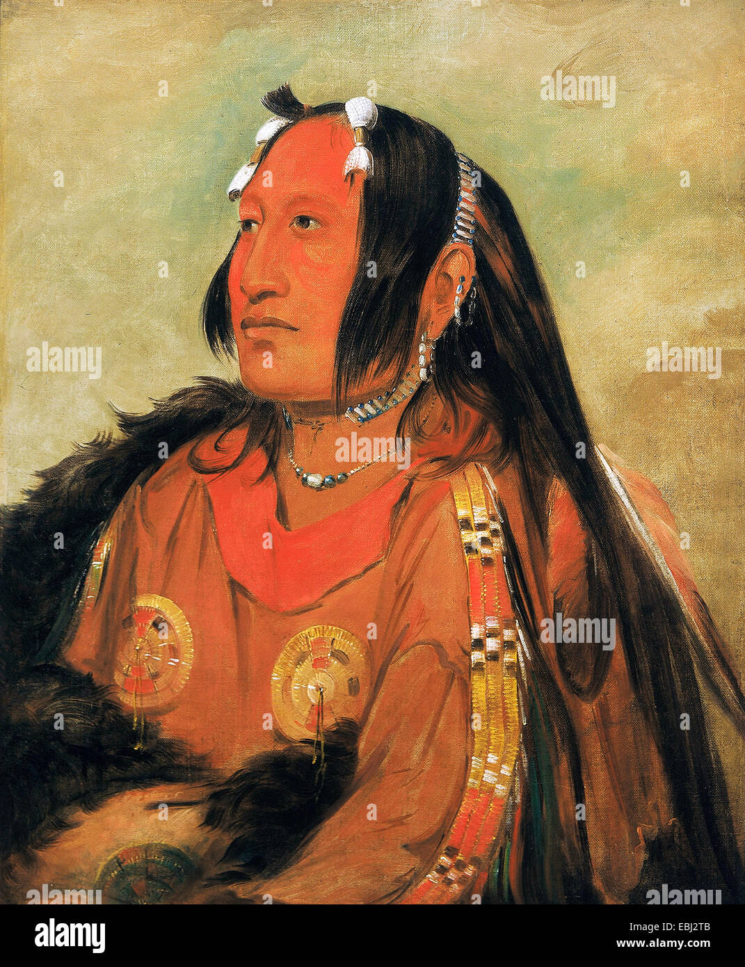 Warrior pigeons hi-res stock photography and images - Alamy