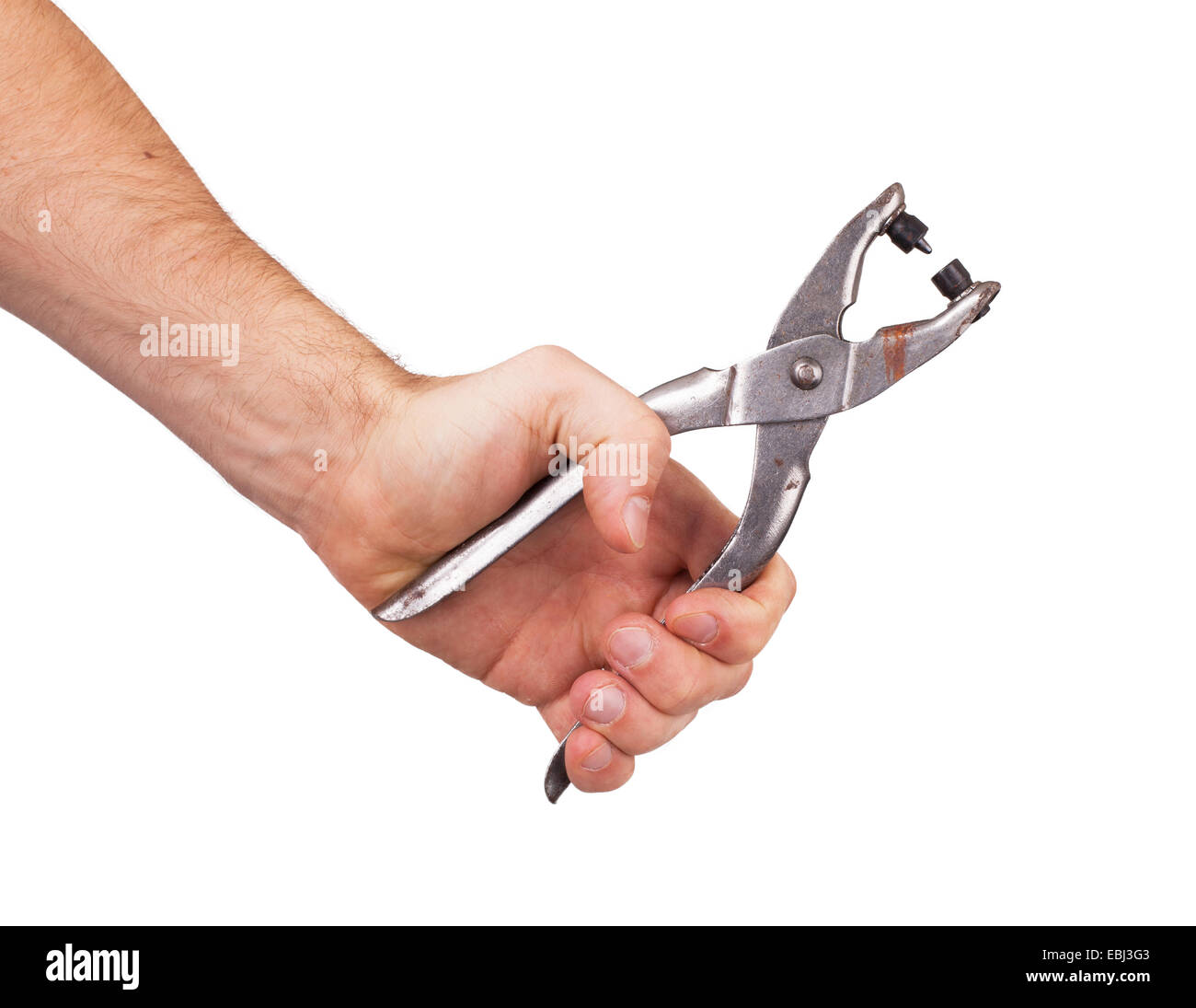 Eyelet plier for punch paper on white background Stock Photo - Alamy