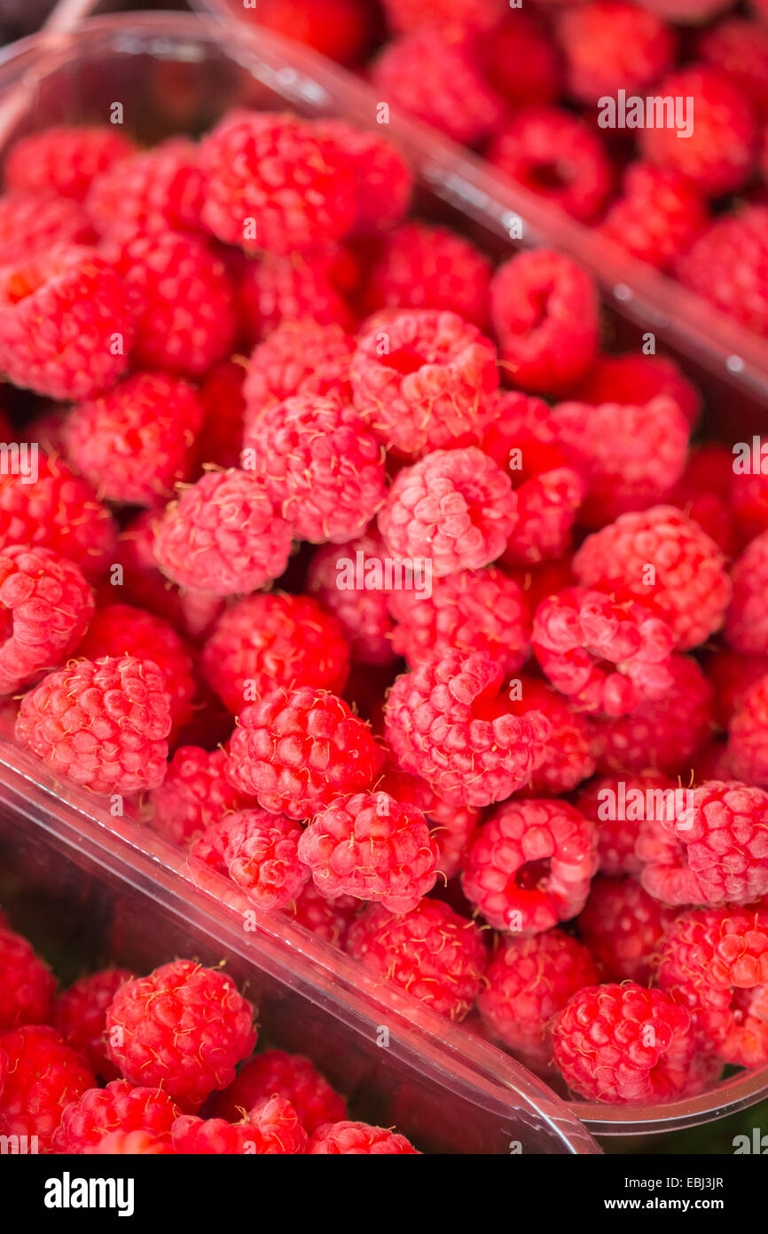 Assortment Of Fresh Organic Red Berries Raspberries At Produce Local ...