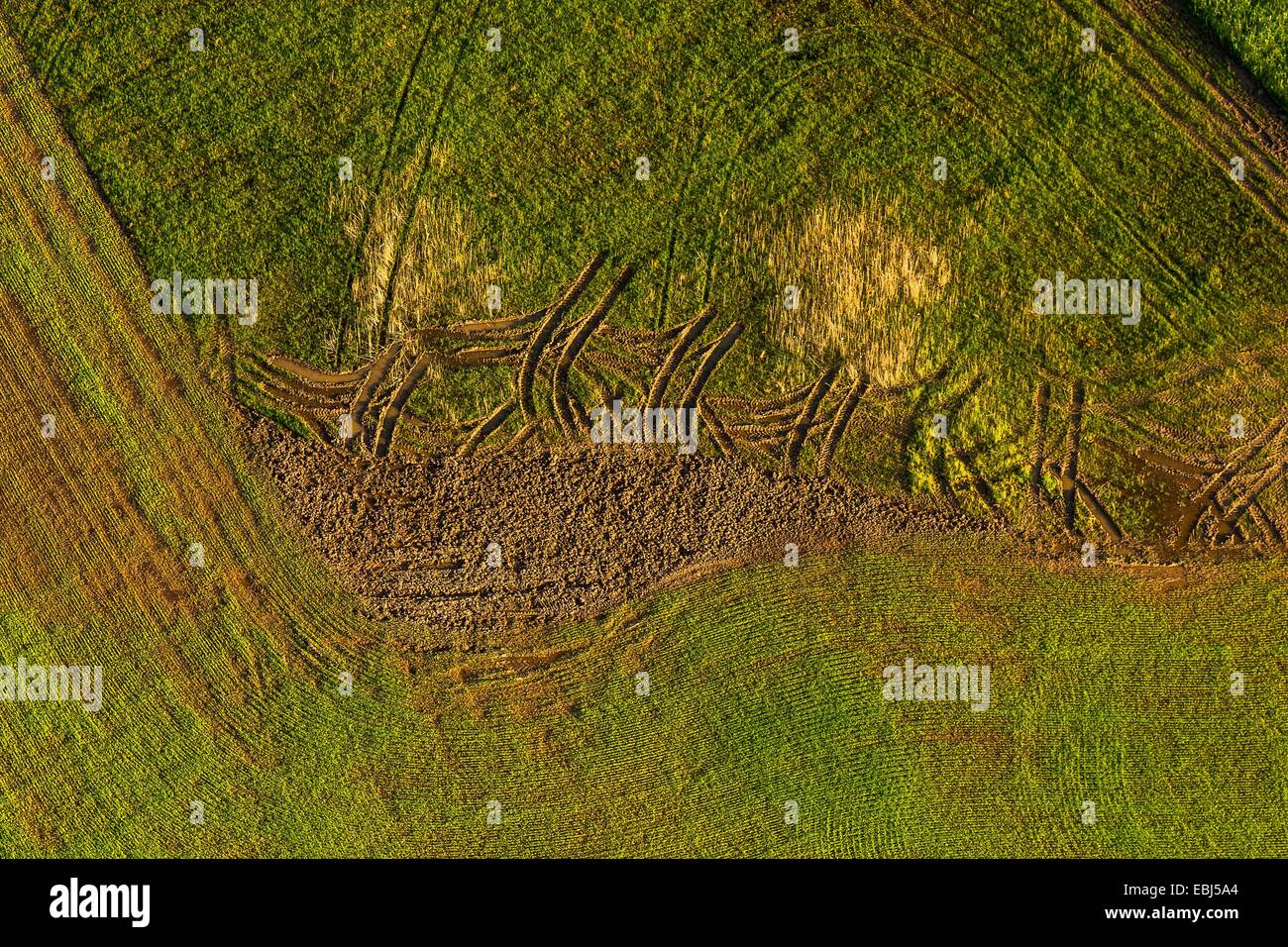 field, furrow, furrows, aerial view Stock Photo - Alamy