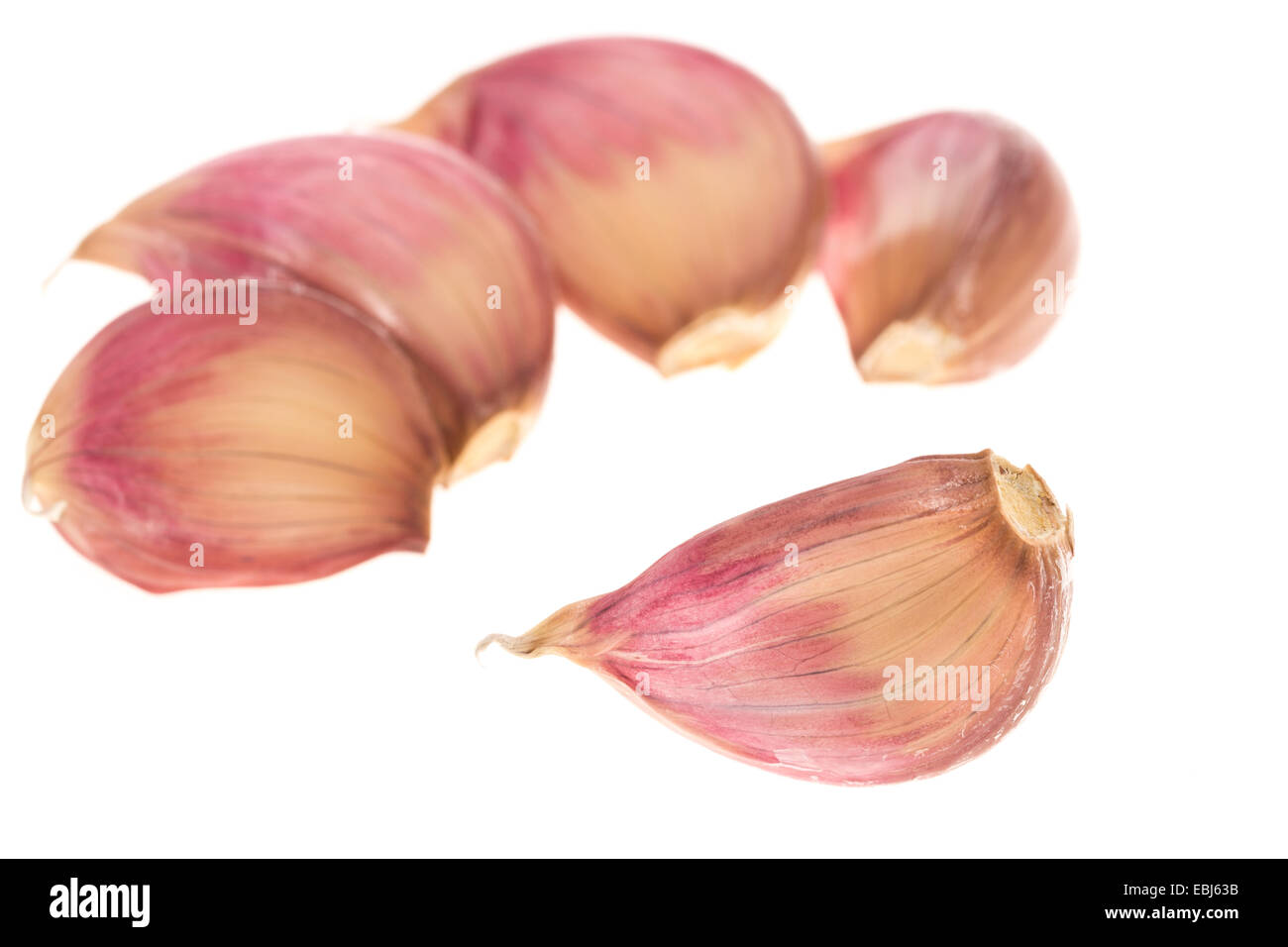 Side view of cloves of garlic over white, focus on front Stock Photo ...