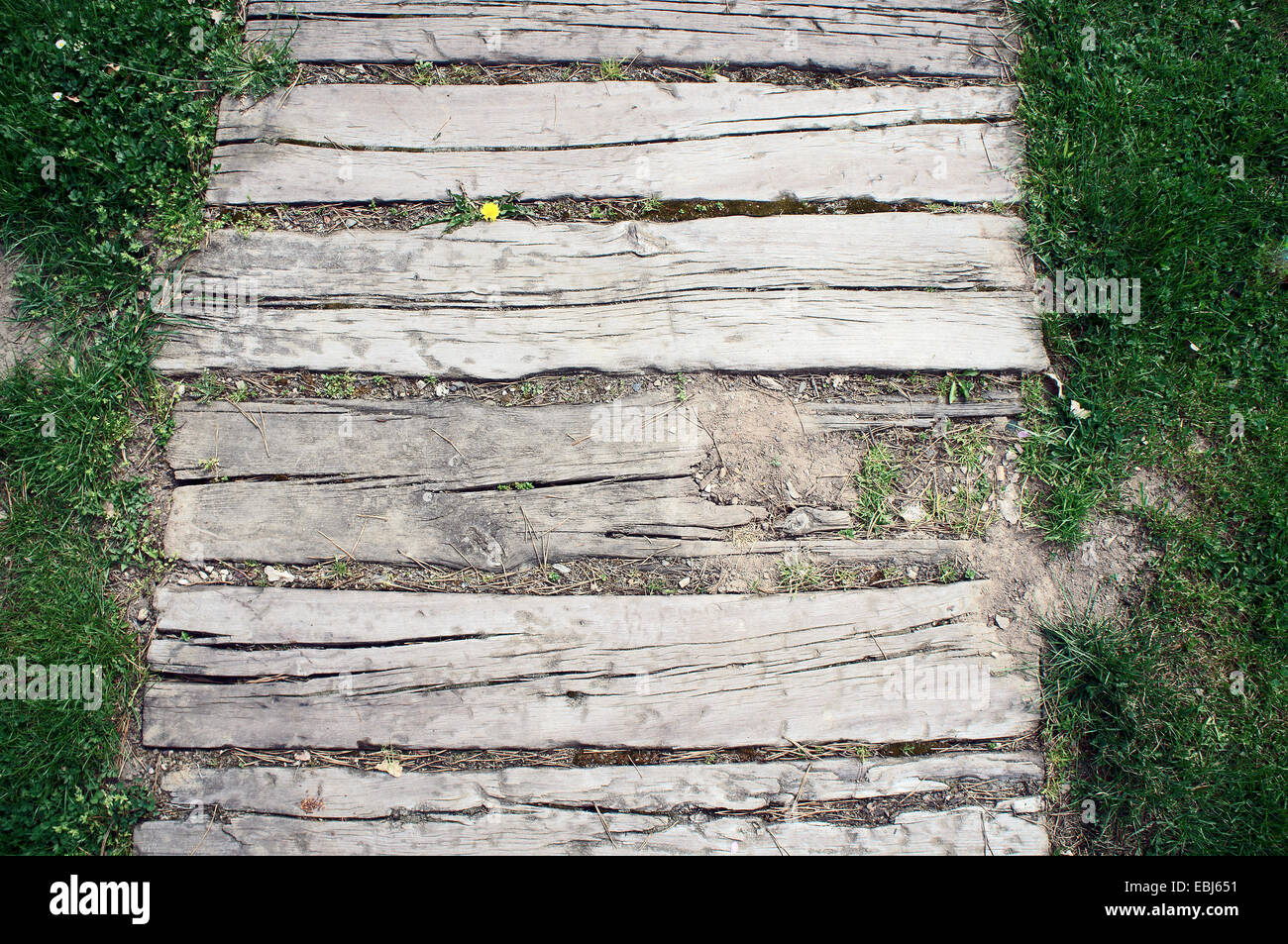 Wooden sleepers garden path hi-res stock photography and images - Alamy