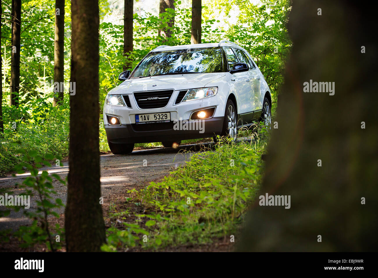 Saab 9-4, SUV, crossover, forest, road Stock Photo - Alamy