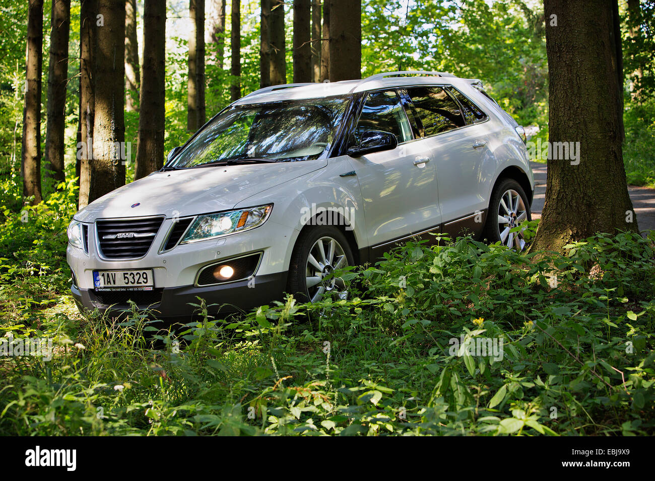 Saab 9-4, SUV, crossover, forest, road Stock Photo - Alamy