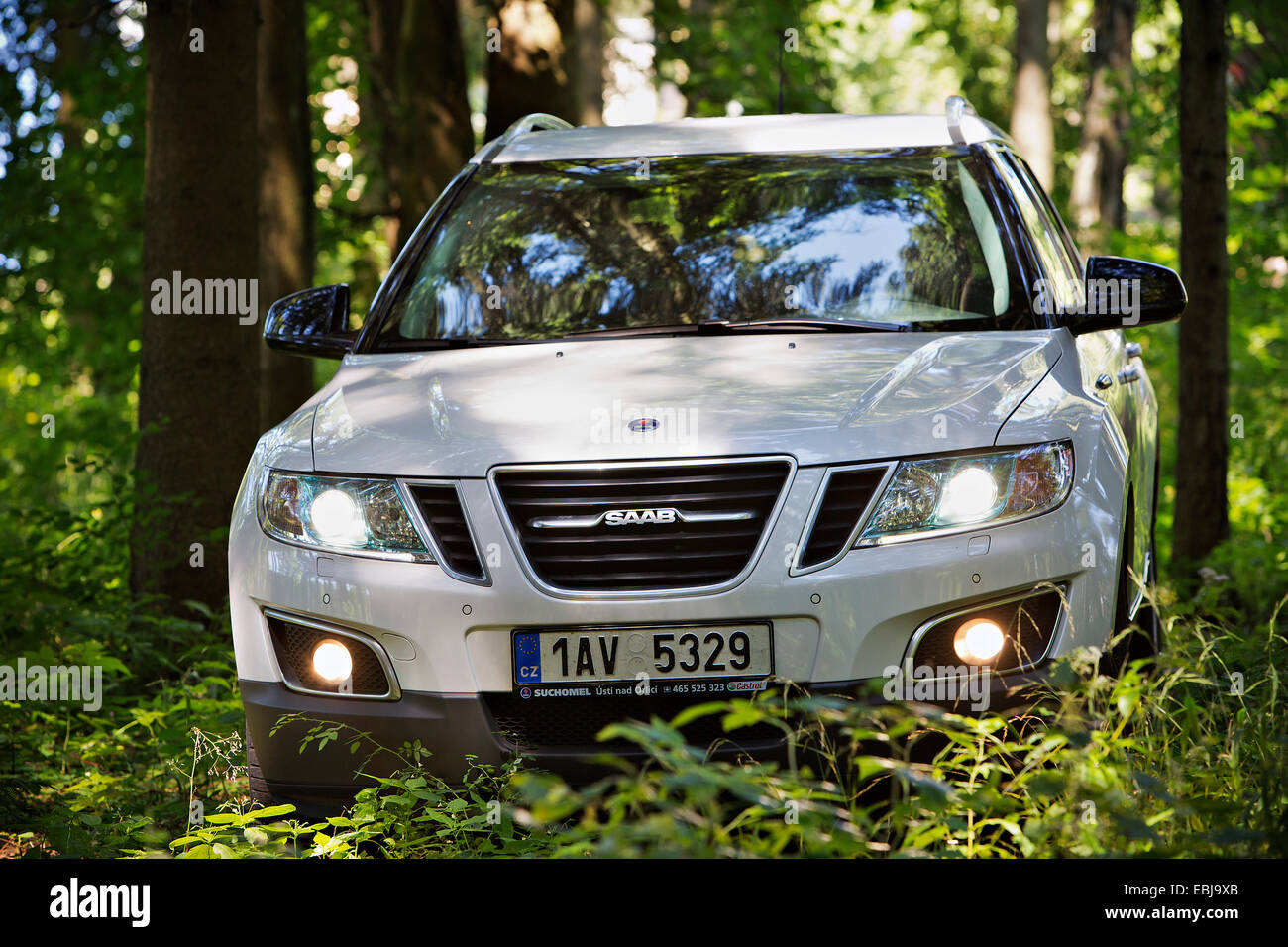 Saab 9-4, SUV, crossover, forest, road Stock Photo - Alamy