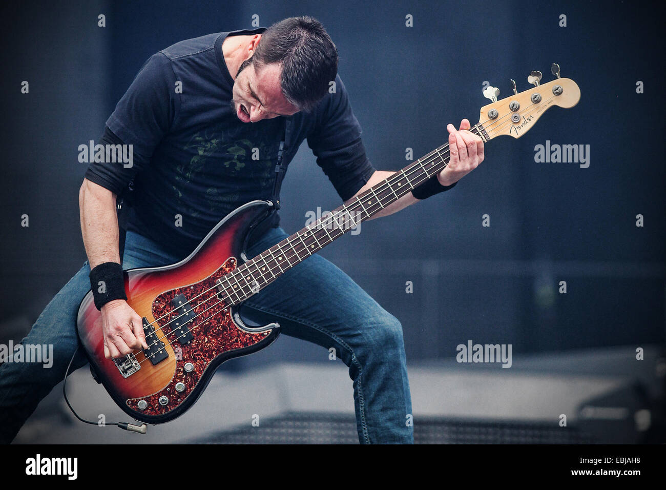 Sonisphere Festival held at Hietaniemi beach - Performances Featuring ...
