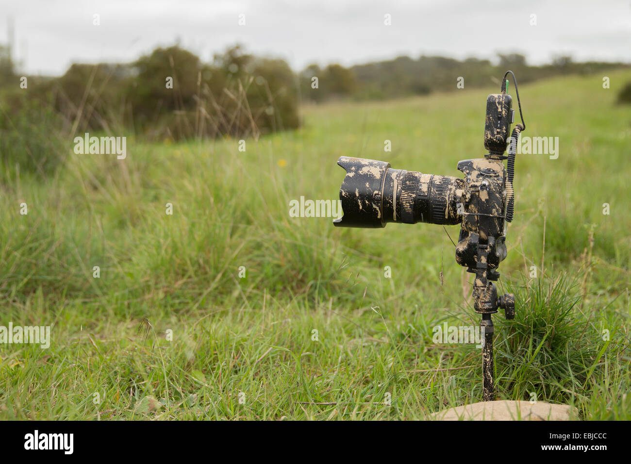 camera Nikon, mud, Rally de Portugal Stock Photo - Alamy
