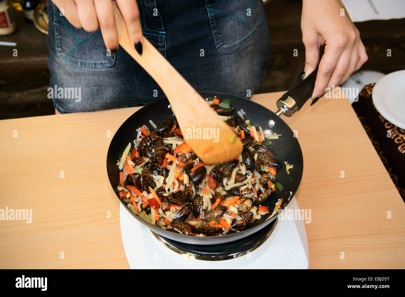 unusual insect dishes, Blattodea, Blaberus giganteus, Giant Cockroach ...