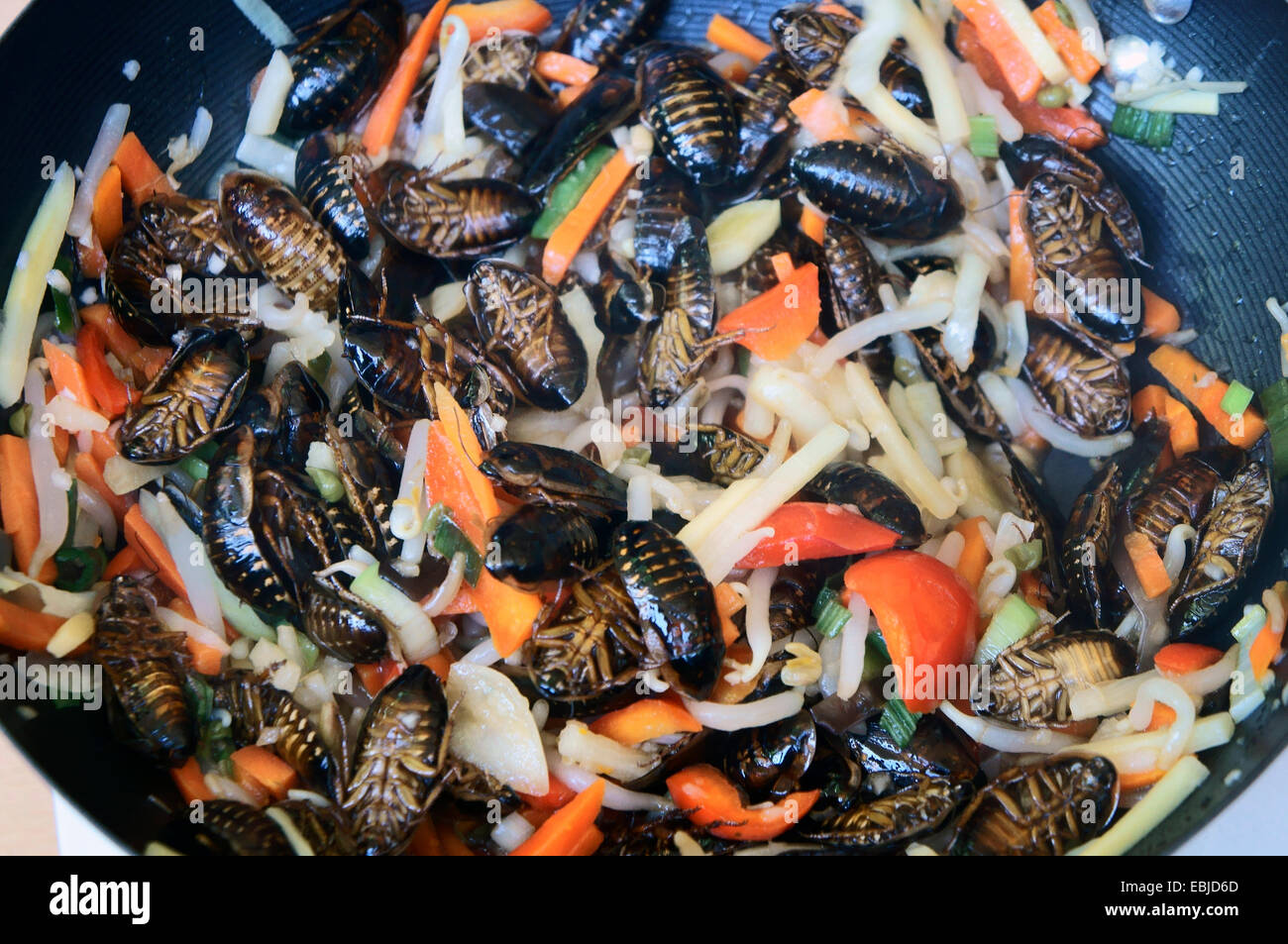 Insect Dishes From Around The World at Stan Denham blog
