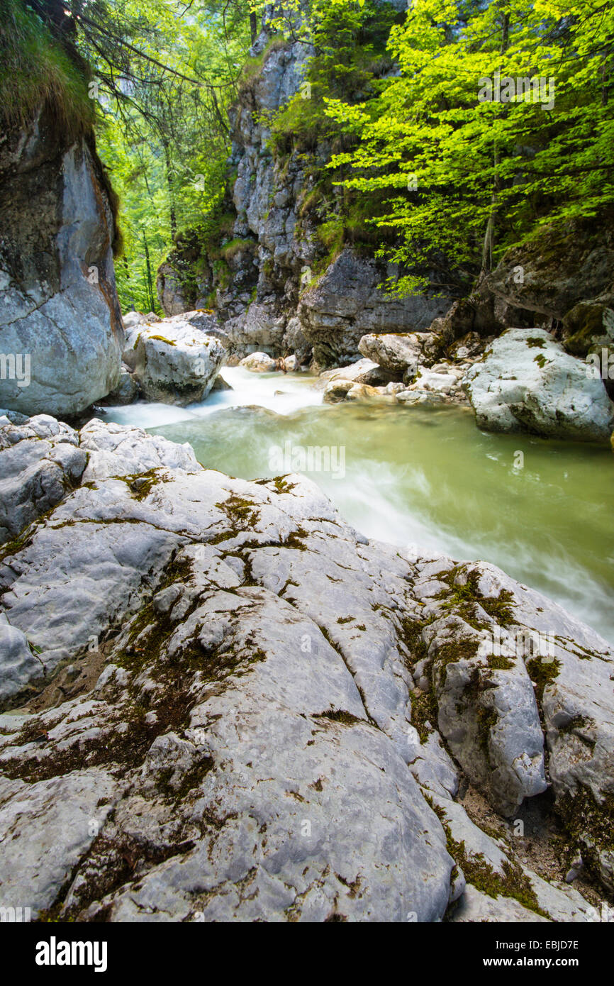 A gorge in Austria, Nothklamm Stock Photo - Alamy