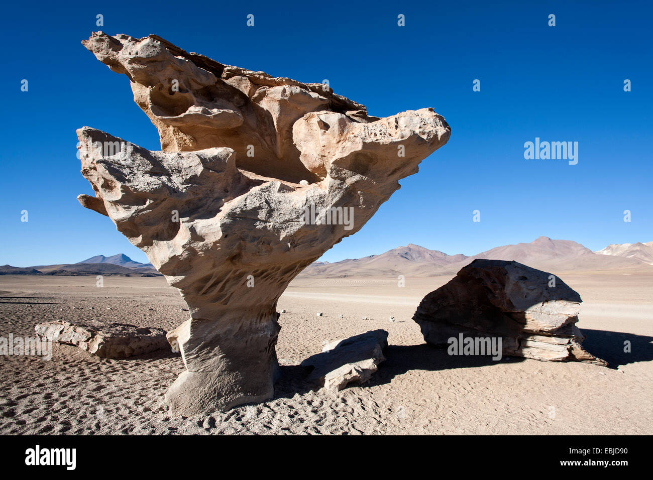 Arbol de Piedra (stone tree) Eduardo Avaroa National Reserve. Salar de ...