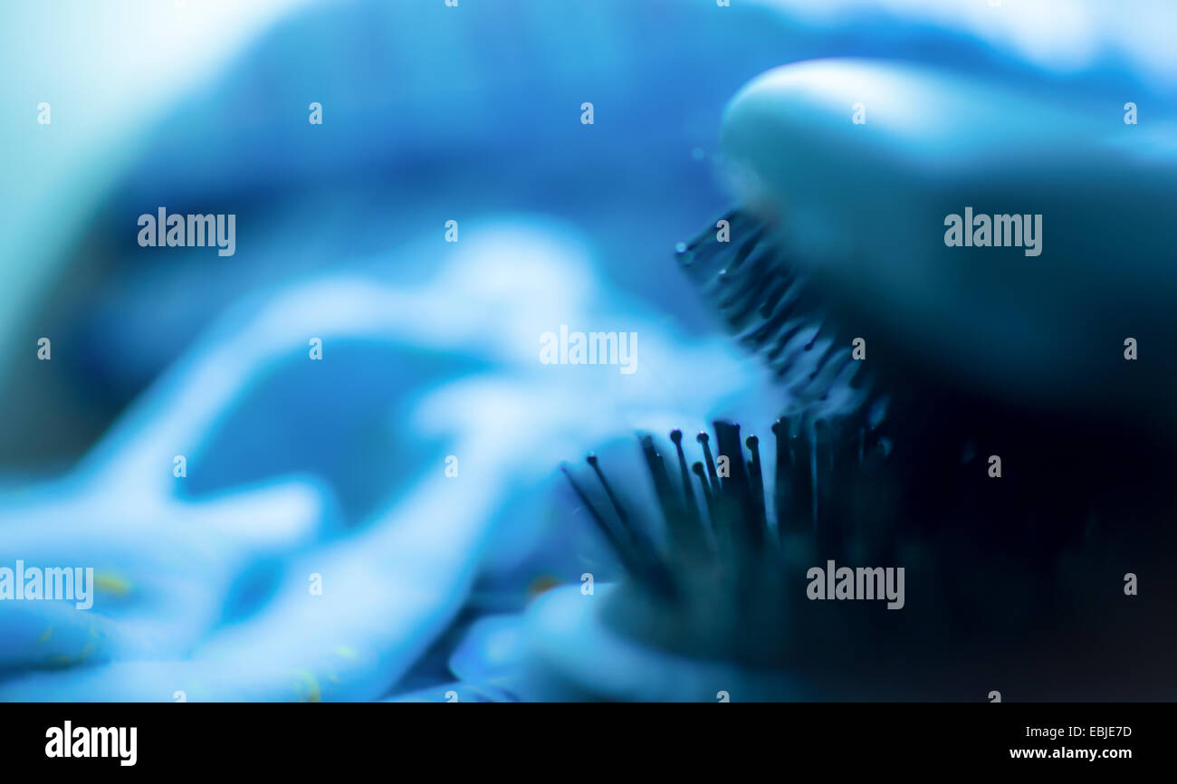 Blue soft focus hairbrush background Stock Photo - Alamy
