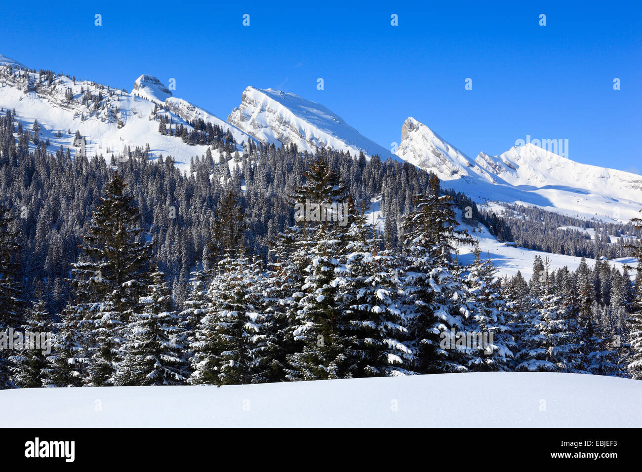 Churfirsten mountain range in winter, Switzerland, Toggenburg Stock ...