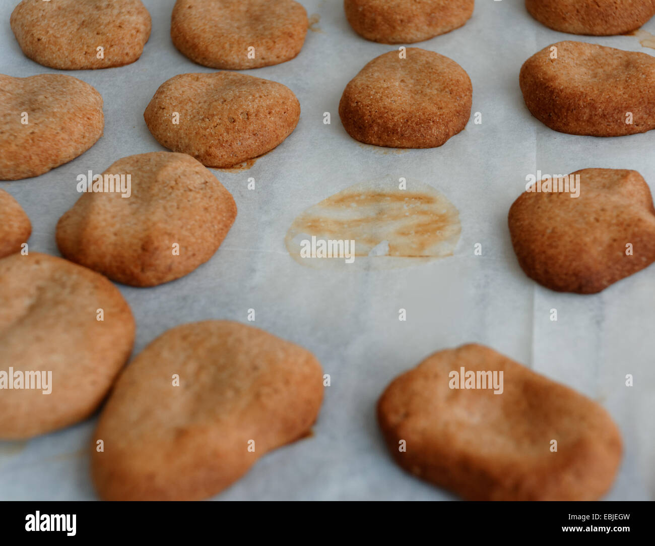 Freshly baked cookies One already missing from the tray Stock Photo - Alamy