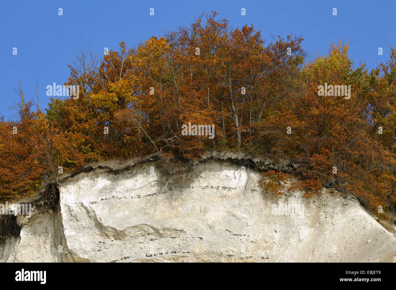 Chalk scarp hi-res stock photography and images - Alamy