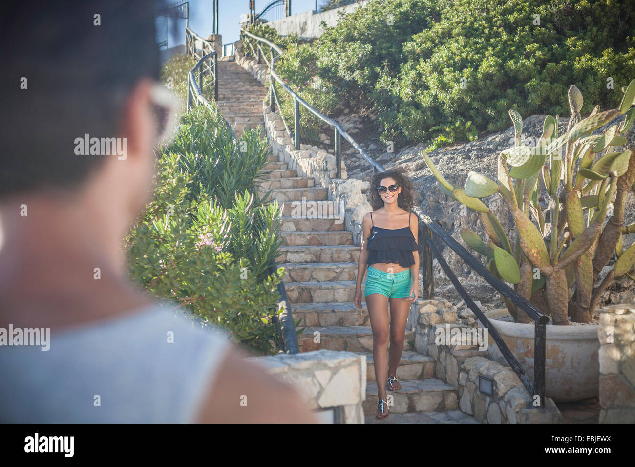 Female coming into season hi-res stock photography and images - Alamy