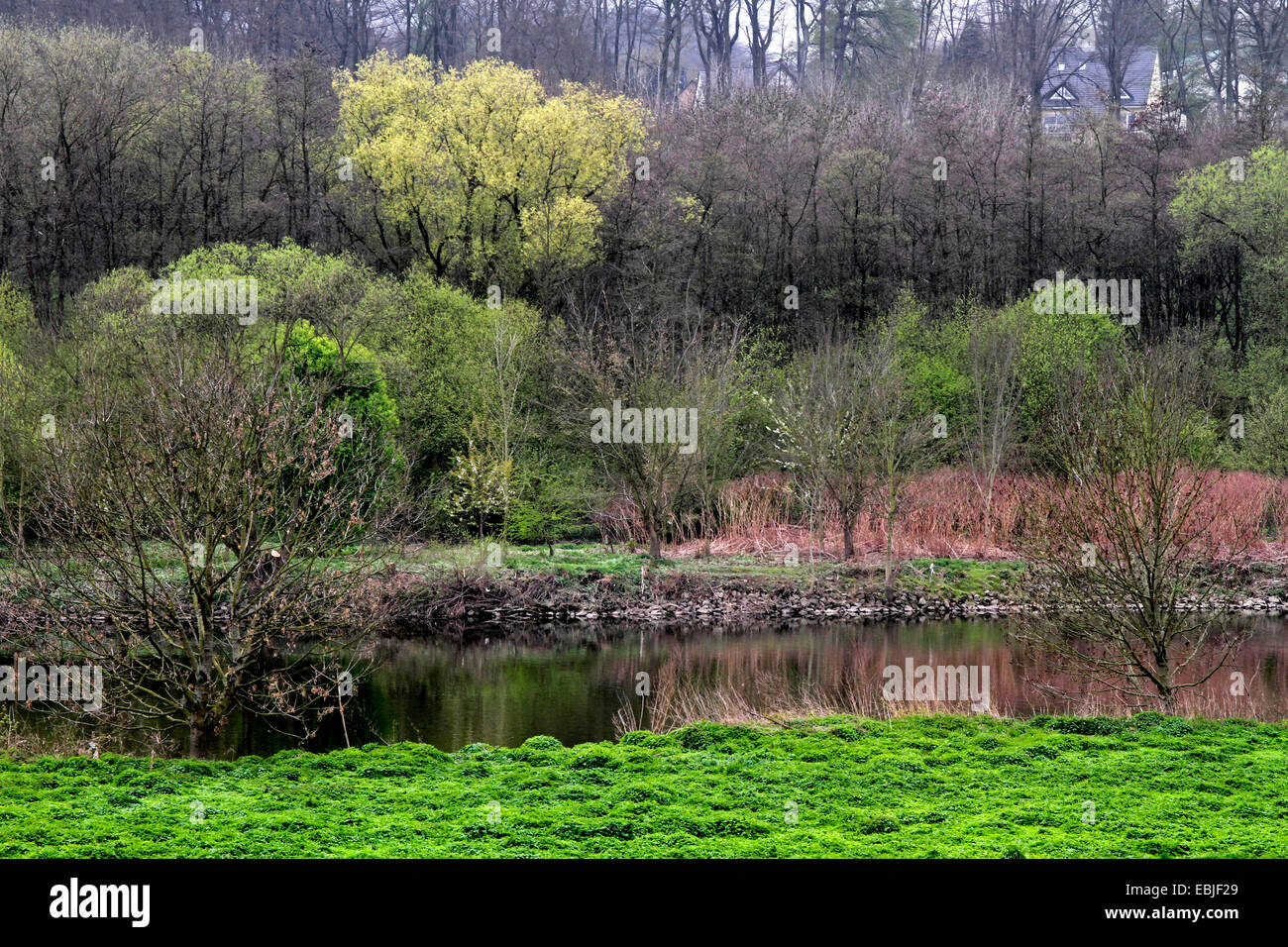 Spring in the nature reserve hi-res stock photography and images - Alamy