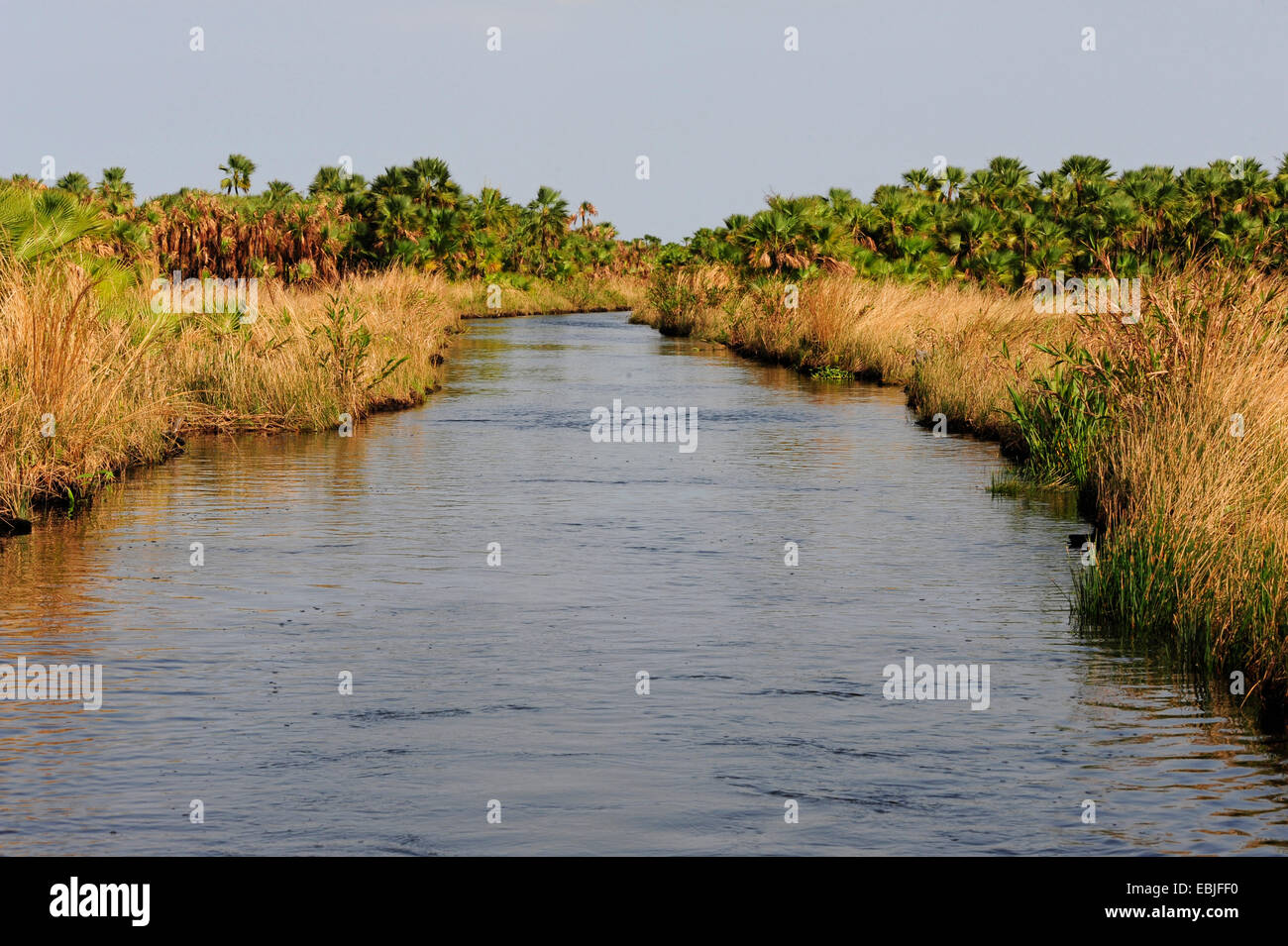 canal through a rain forest, Honduras, La Mosquitia, Las Marias Stock ...