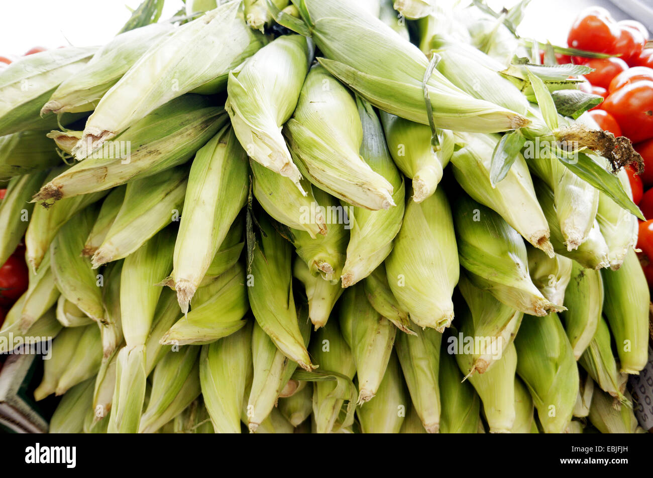 Corn maize cobs hi-res stock photography and images - Alamy