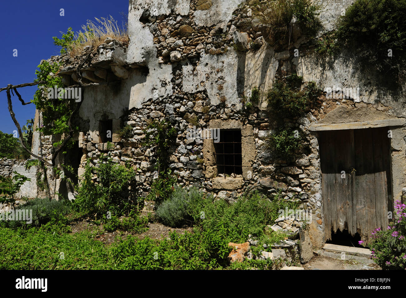 ruine of a historical peasant village, Greece, Kythira Stock Photo - Alamy