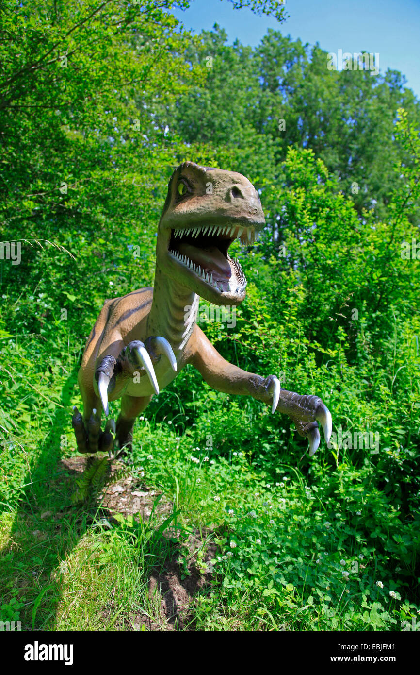 Terrible claw (Deinonychus), threatening Stock Photo - Alamy