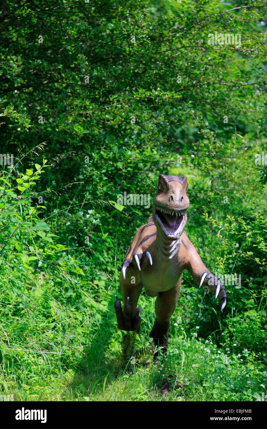 Terrible claw (Deinonychus), threatening Stock Photo - Alamy
