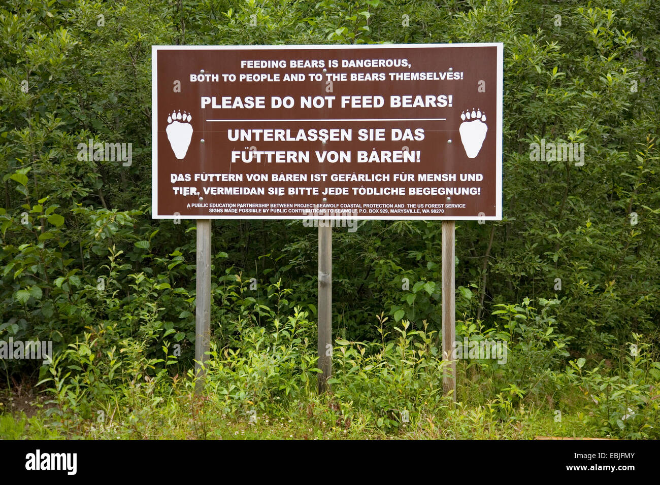 American black bear (Ursus americanus), sign warning against the danger ...
