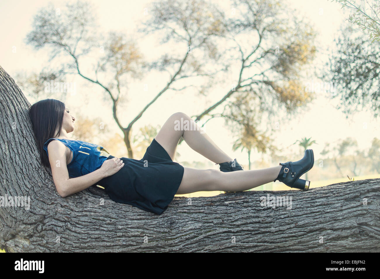 Young woman lying on tree Stock Photo - Alamy