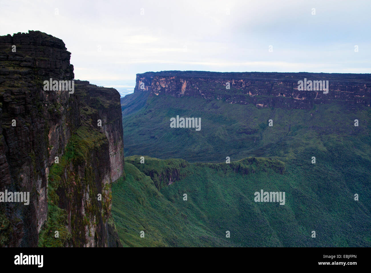 mesas Mount Roraima (left) and Kukenam Tepui (back) seen from La ...