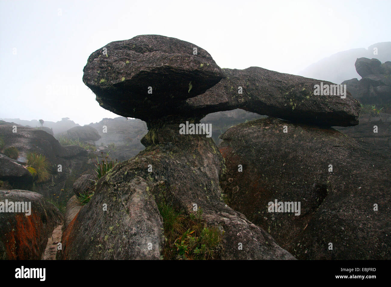 bizarr sandstone formations on Mount Roraima, Venezuela, Canaima ...