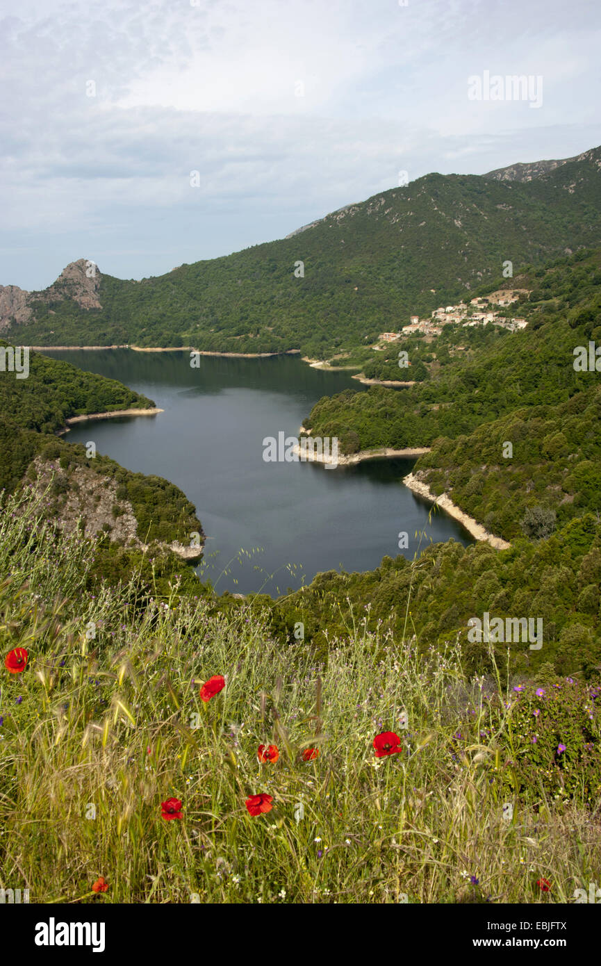 Storage island hi-res stock photography and images - Alamy
