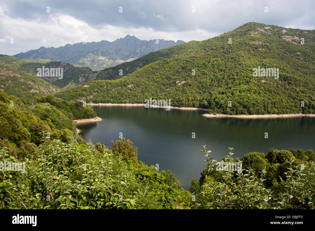 Corsica tolla hi-res stock photography and images - Alamy