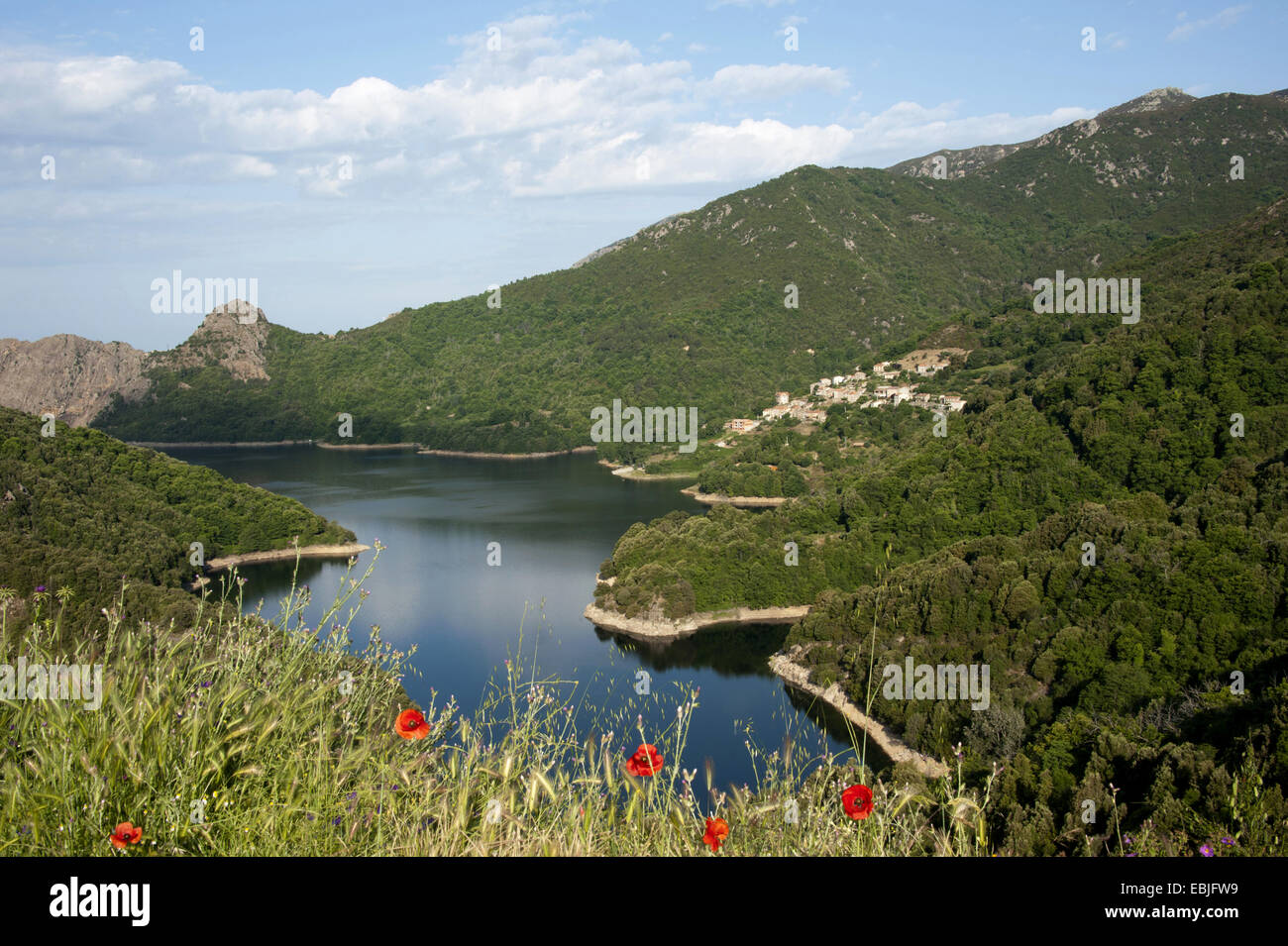 Lake tolla hi-res stock photography and images - Alamy