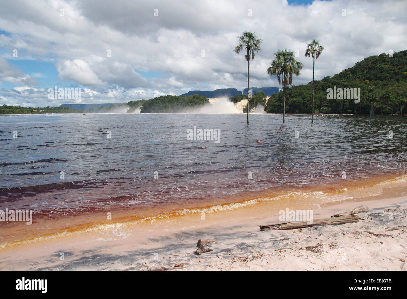 lagoon and waterfall of Canaima, Venezuela, Canaima National Park Stock ...