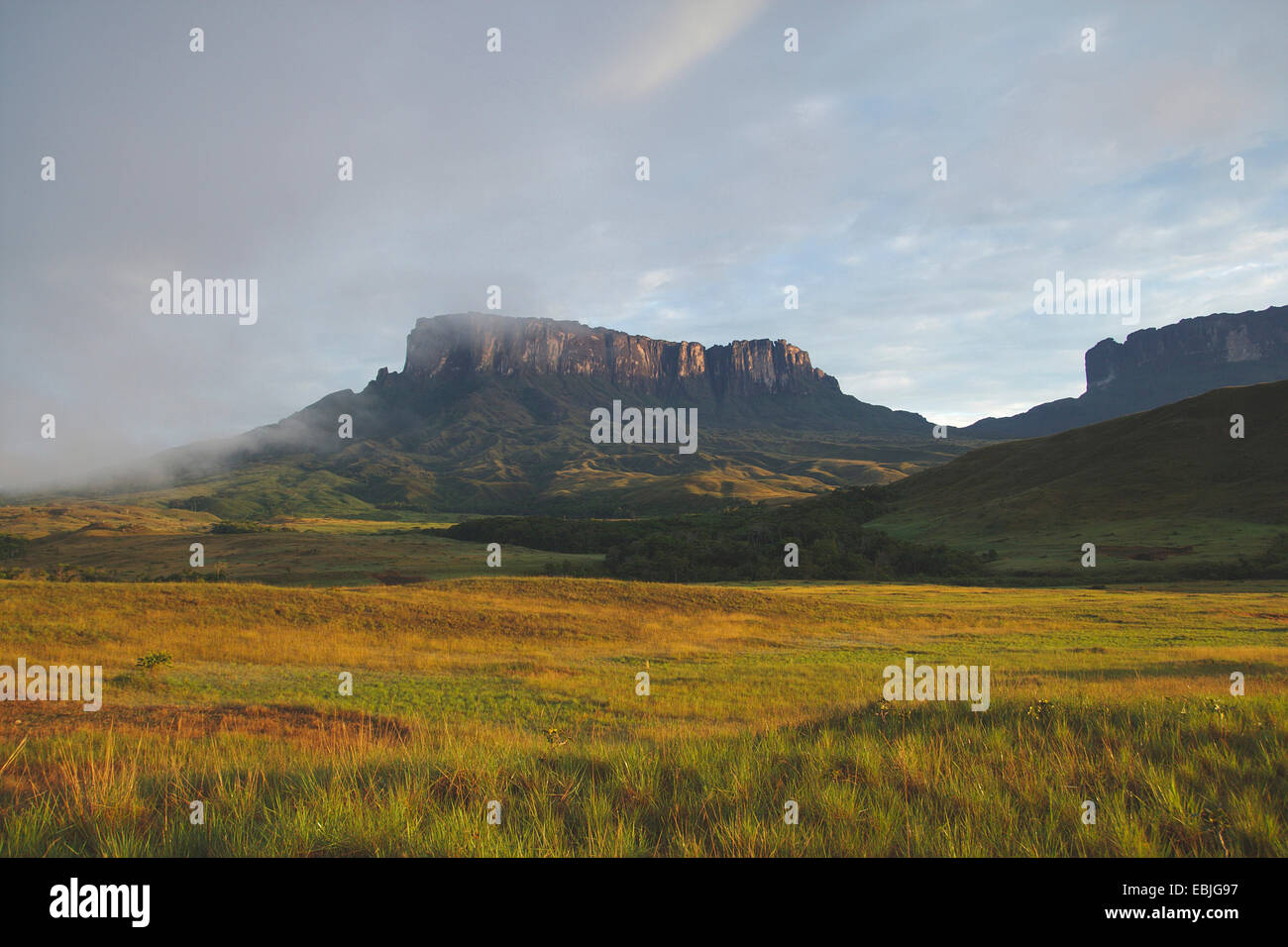 Kukenan Tepui and Roraima Tepui in morning light, Venezuela, Canaima ...