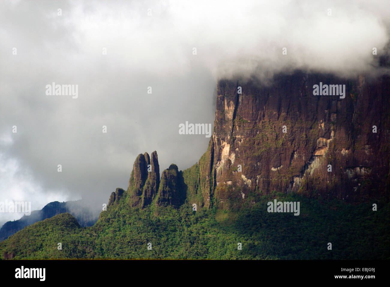 Kukenan Tepui in clouds, Venezuela, Canaima National Park Stock Photo ...