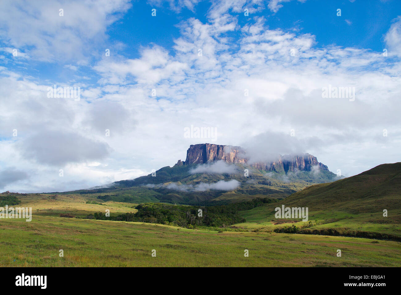 Kukenan Tepui, Venezuela, Canaima National Park Stock Photo - Alamy