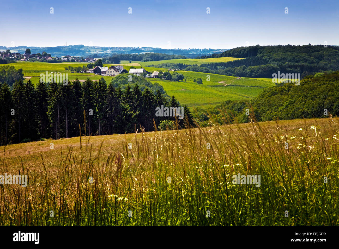 Panoramic view of the blue land hi-res stock photography and images - Alamy