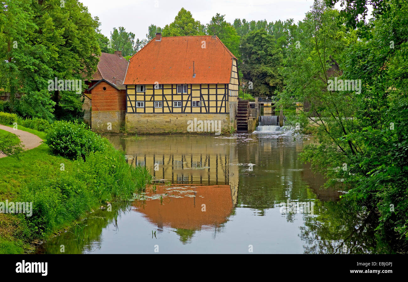 palace garden of water castle Rheda with watermill at river Ems ...