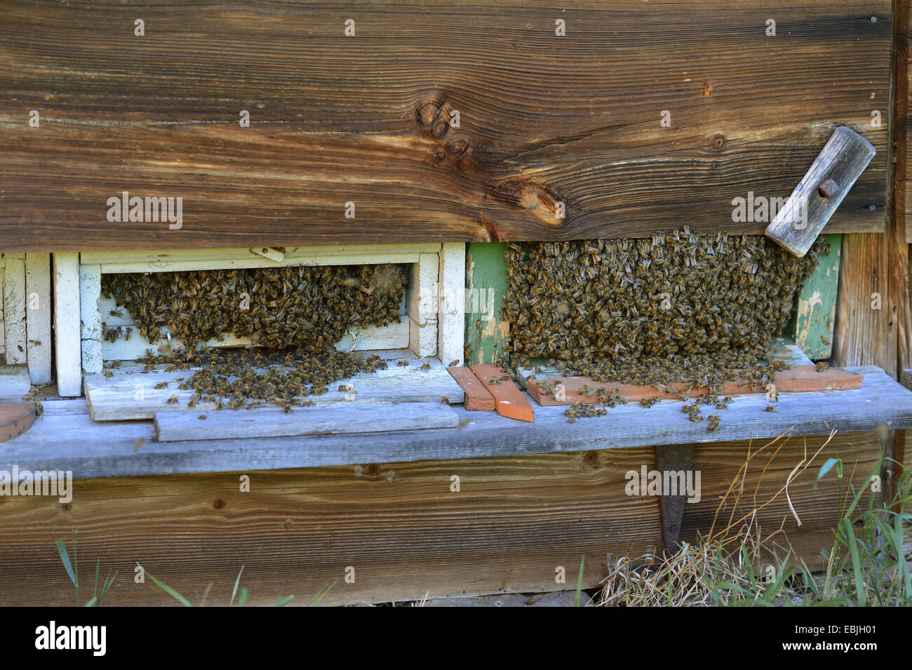 Bee hives huts hi-res stock photography and images - Alamy
